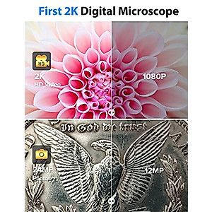 2K LCD Digital Microscope 1200X, Dcorn 7" 24MP HDMI Microscope, Soldering Coin Microscope with Lights, Extension Tube & 32GB Card Included, Coin Magnifier with Light