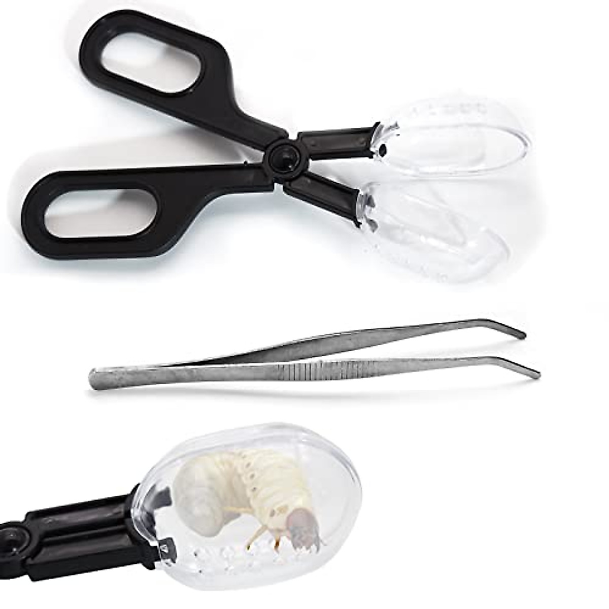 2Pcs Stainless Reptile Feeding Tongs and Feeding Clamp for Fish Aquariums, Reptiles Snakes Lizard Gecko Spider and Bird (Black)