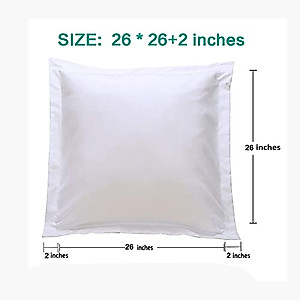 NTBAY 100% Brushed Microfiber 26x26 Euro Pillow Shams Set of 2, Super Soft and Cozy European Throw Pillow Covers, Wrinkle, Fade, Stain Resistant Square Pillow Cases, White