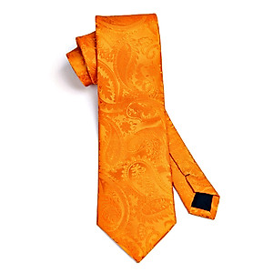 HISDERN Orange Paisley Ties for Men Solid Tie Handkerchief Floral Men's Necktie & Pocket Square Set Wedding Classic Mens Ties
