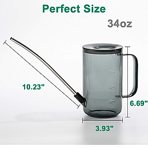 Long Spout Watering Can Indoor, Small Watering Cans for House Plants, Flowers, Succulents, 34oz (Grey)