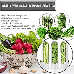 HVECT Herb Saver for Refrigerator, Herb Saver Pod Cilantro Containers for Refrigerator, Fresh Herb Keeper for Cilantro, Parsley, Asparagus, Mint, Keeps Vegetables for 2-3 Weeks (2PCS)