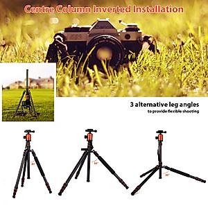 GEEKOTO 79 inches Carbon Fiber Camera Tripod Monopod with 360 Degree Ball Head 1/4 inch Quick Shoe Plate Professional Tripod Load up to 26.5 pounds