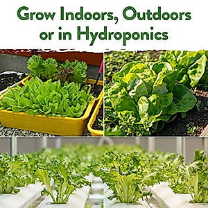 10,000+ Heirloom Lettuce Seeds for Planting Indoors - 95% Germination, Non-GMO Greens Seeds, (20 Varieties): Kale, Spinach, Butter, Oak, Romaine Bibb & More - Lettuce Seeds for Hydroponic Home Garden