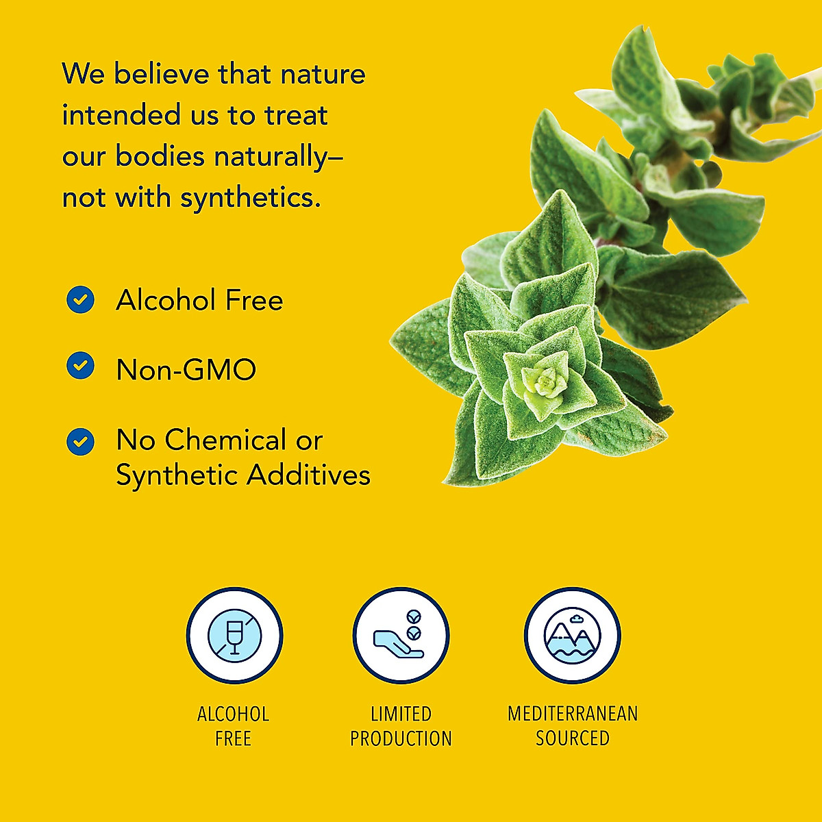 NORTH AMERICAN HERB & SPICE ScalpClenz Shampoo - 8 oz. - Moisturizes & Supports Healthy Scalp & Hair - No Petrochemicals, Dyes, or Sulfates - Non-GMO