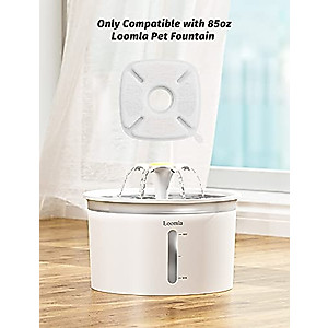 Loomla 4 Pack Replacement Filters & 4 Pack Replacement Pre-Filter Sponges for Bellflower Pet Fountain Cat Water Fountain (VC1456)