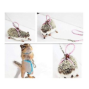 Hypeety Hamster Training Lead Leash Nylon for Hamster Rat Squirrel Gerbil Pet Cage Playhouse Leashes Band Finder Collar Bell (Blue)