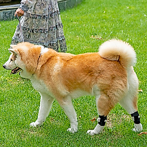 PaaWings 2024 Dog Leg Braces Dog Knee Brace for Back Leg- Dog Hip Brace for Torn Acl and Joint Relief -Dog Leg Sleeve - Dog Back Leg Support and Joint Supplement Black (XL)
