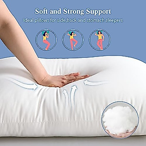 Sherwood Hotel Collection Bed Pillows for Sleeping 2 Pack Queen Size, Soft Microfiber Cover and 3D Super Soft Down Alternative Filled White Pillows, 20x28 Inches