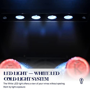 Kalamera Mini Fridge Compressor Cooler, 12 Bottles Wine Refrigerator, Freestanding Wine Cellar 41F-64F One Touch Temperature Control, For Home, Office or Bar.