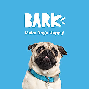 Barkbox 2 in 1 Interactive Plush Dog Toy - Rip and Reveal Dog Toy for Large Dogs - Stimulating Squeaky Pet Enrichment and Puppy Toys | Consuela The Cactus (Large)