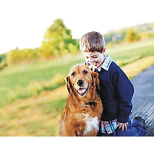 Purina Dog Chow Complete With Real Chicken Adult Dry Dog Food - 18.5 Lb. Bag