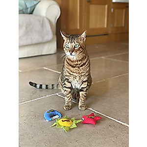 Yeowww! Catnip Cat Toy for Indoor and Outdoor Cats -Premium Quality Strong Catnip Toys for Cats (1x Crinkle Catnip Toy Sun 1 x Moon 1x Star), Purple, 3 Count (Pack of 1) (Yeoww Sun Moon and Stars)
