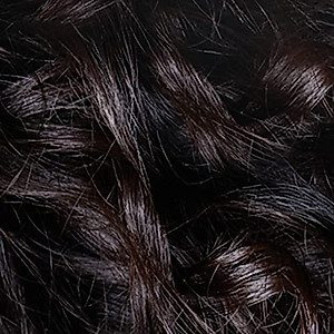 L'Oreal Paris Le Color One Step Toning Hair Gloss, Black Noir, 4 Ounce