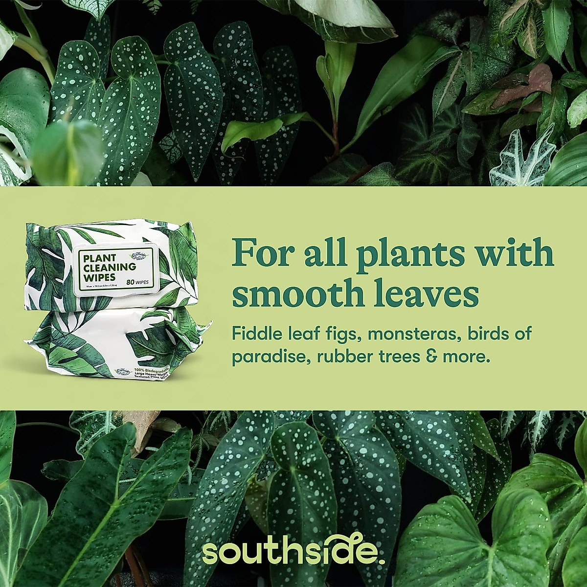 Plant Cleaning Wipes by Southside Plants - Gentle, Plant-Based Wipes for Shiny Leaves and Better Photosynthesis - Unscented, Extra Thick Waffle Weave Leaf Wipes for Indoor & Outdoor Plants - 80 Ct