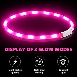 Light Up Dog Collars, Led Dog Collar for Pet Safety in Dark, Waterproof Rechargeable Dog Collar Light, Adjustable Size fit Most Dog, 3 Light Modes Dog Lights for Night Walking & Camping