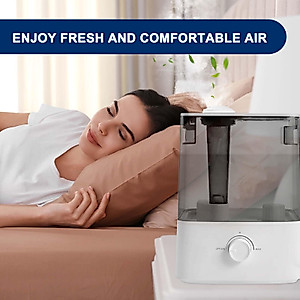 Humidifier Replacement Filter Compatible with Levoit Dual150 Dual200S Classic300 Classic300S LV600S OasisMist450S OasisMist600S Superior 6000S Top-Fill Humidifiers - 10 Filters and 2 Clean Fish