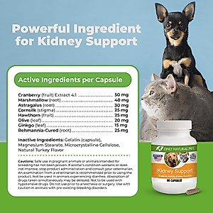 ONLY NATURAL PET Kidney Support Supplement | Supports Urinary Tract & Bladder Health w/Cranberry Extract | Incontinence Prevention (Capsules May be Opened and Contents Mixed w/Food) - 90 Capsules