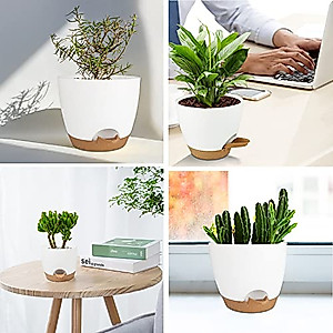 Self Watering Planters with Drainage Holes Reservoir,Nursery Planting Pot for Indoor Decor Garden Plants Succulents,Snake Plant, African Violet,Plastic Flower Pots Set 7+6.5+6+5.5+5 Inch (White)