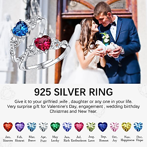 ANNA QUEEN Birthstone Rings for Women Girlfriend 925 Sterling Silver Infinity Heart Rings Adjustable Open Wedding Engagement Promise Rings Jewelry Gifts for Birthday Anniversary Christmas