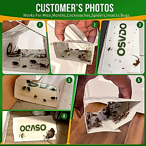 Mouse & Insect Glue Trap for Indoor, 10 Pack Mouse Traps for Home, Sticky Pest Control Adhesive Tray for Catching Rats, Rodents, Bugs, Non Toxic Pre-Baited Glue Boards
