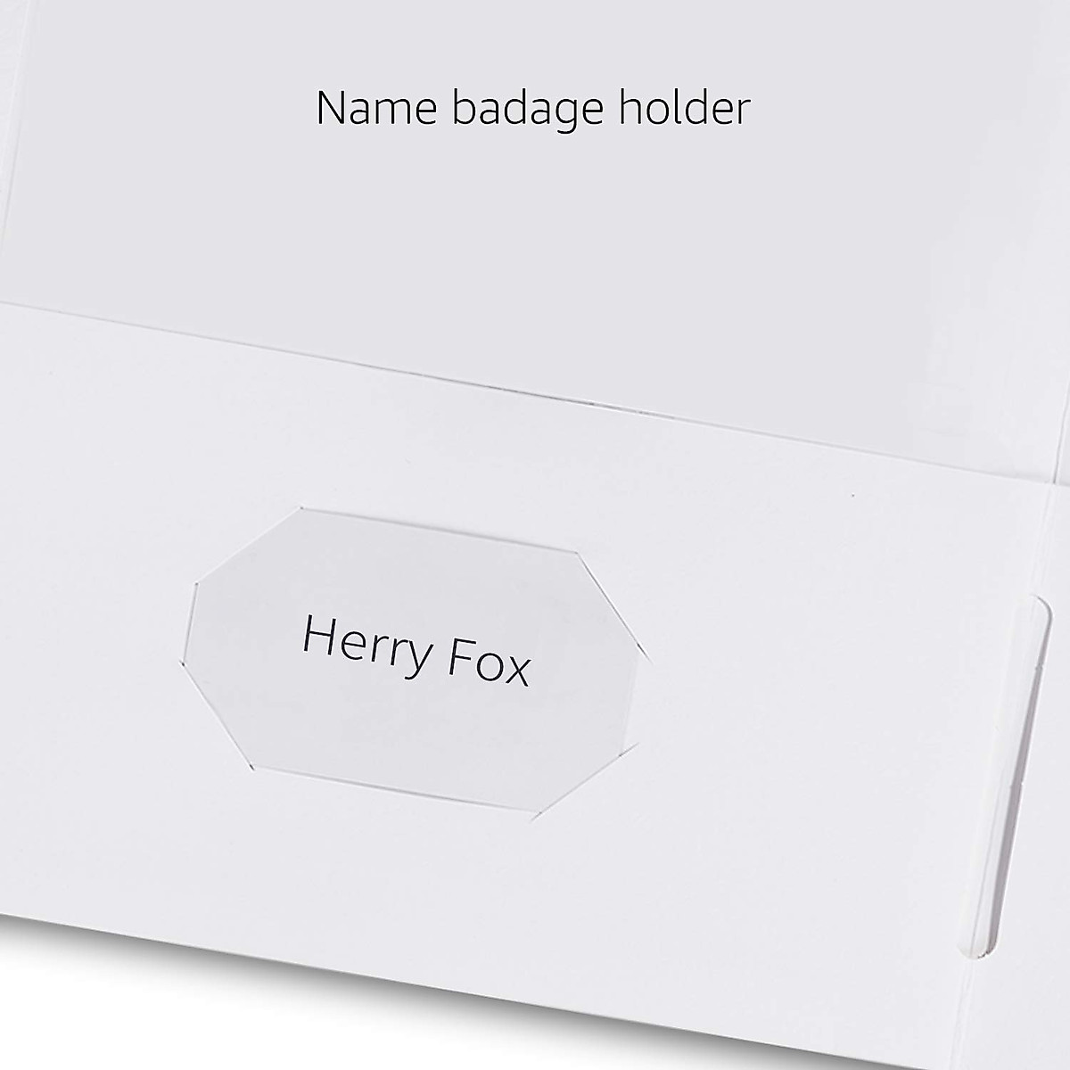 Amazon Basics Two-Pocket Folder, 25 set