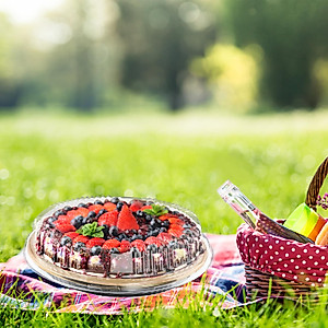 Tamnjvrr 5 Pcs Disposable Pie Carrier with Clear Lid Round Cake Cupcake Container for Pies Cake Slice Candy Pizza Salads Meal Prep (11 Inch)