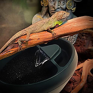 MYGIIKAKA Reptile Drinking Water Fountain Chameleon Accessories Automatic Circulation System with Trough, Bearded Dragon Cage Accessories Reptiles Habitat Waterfall for Snake/Lizard/Chameleon/Turtle