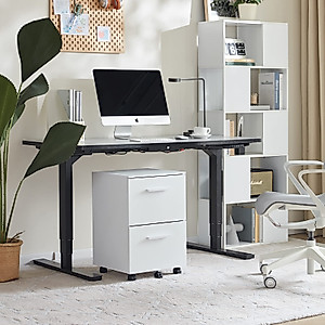 VICLLAX 2 Drawer Mobile Filing Cabinet, Vertical File Cabinet for Legal/Letter/A4 Files, Assembled Needed, White