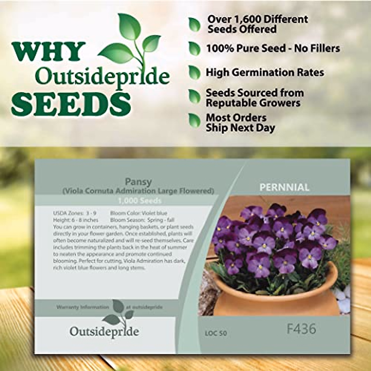 Outsidepride Viola Admiration Garden Flowers for Containers, Hanging Baskets, & Window Boxes - 1000 Seeds