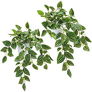 CEWOR Faux Plants Indoor,2 Pack,Realistic Artificial Hanging Plants,Fake Potted Plants,Faux Peperomia Watermelon Plants,Wall House Room Patio Indoor Outdoor Decor
