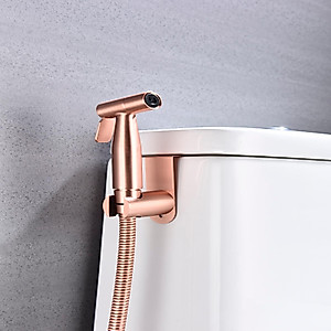 ZQLOEINC Toilet Bidet Spray, Hand-held, pet Bathing Appliance Toilet Bidet Spray, Hose and Brass Valve are Made 304 Stainless Steel (Delivered in 3-8 Days)