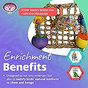 Super Bird Creations SB965 Mini Seagrass Foraging Wall Bird Toy, Small/Medium Bird Size, 8" x 7" x 4"