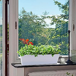 Window Boxes Planters, GREANER 3PCS 16x3.8 Inch Large Herb Planters with Tray, Indoor Succulent Cactus Flowers Vegetable Plastic Rectangle Pots for Balcony, Office, Garden, Outdoor, Windowsill (White)