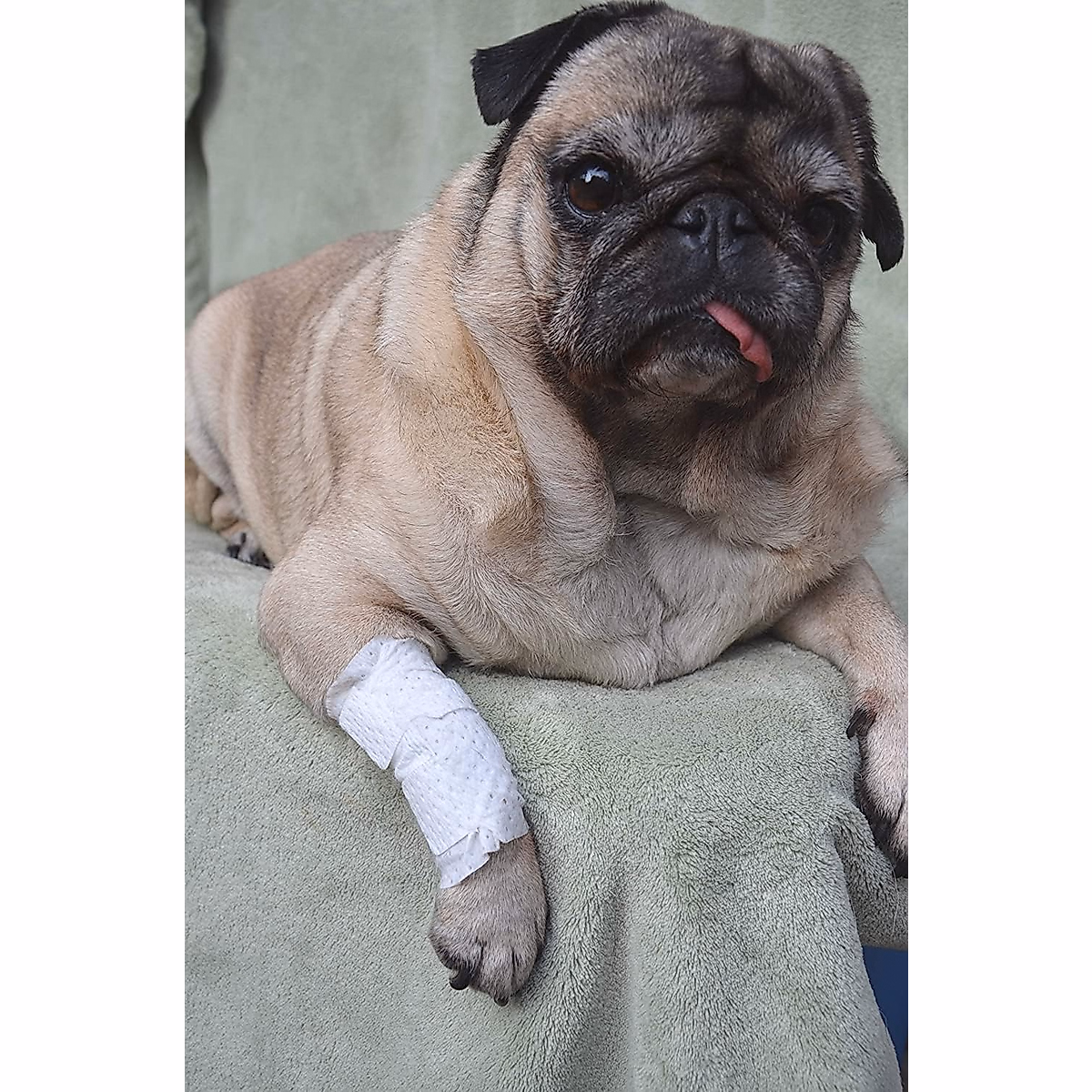 PawFlex Joint and Large Area Wound Bandages for Dogs Cats & Other Pets. Great for Leg Joint sprains and Tail Injuries! Non Adhesive Breathable Non-Slip Disposable Washable Value Pack (L/XL 12pk)