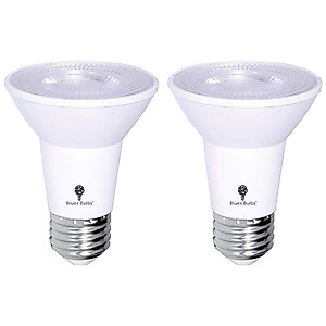 2 Pack PAR20 Outdoor LED Flood Light Bulb 8W 75 Watt Equivalent 500 Lumens Dimmable Waterproof E26 3000K Warm White LED Flood Light Bulbs for Security Led Spotlight Indoor Led Recessed Light Bulbs