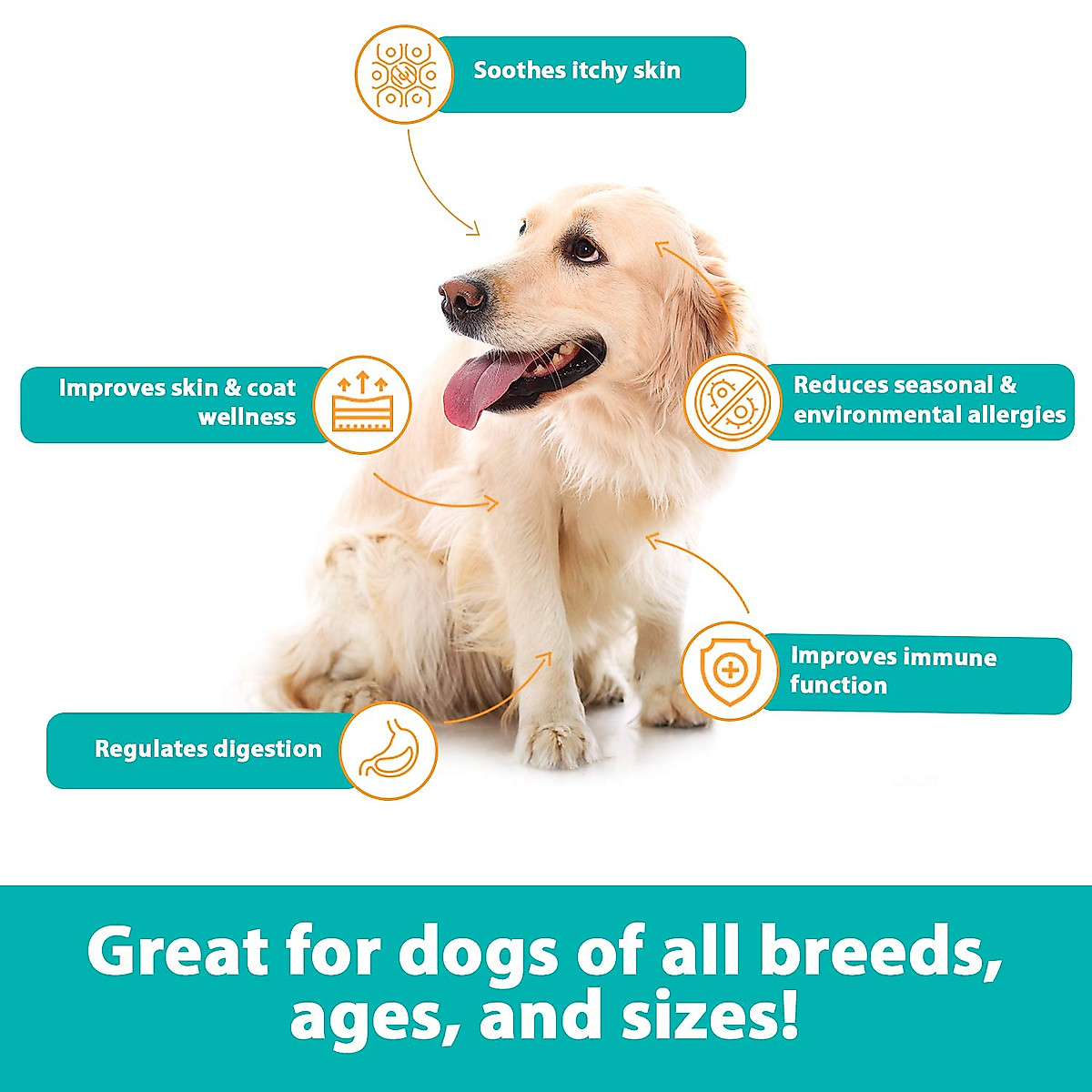 RestoraPet Allergy, Itch & Immune Soft Chews - Natural Supplement for Dogs - Support Immunity, Soothe Skin Irritation, Improve Coat Quality – with Lactoferrin, Colostrum & Omega 3-60 Bacon Chewables