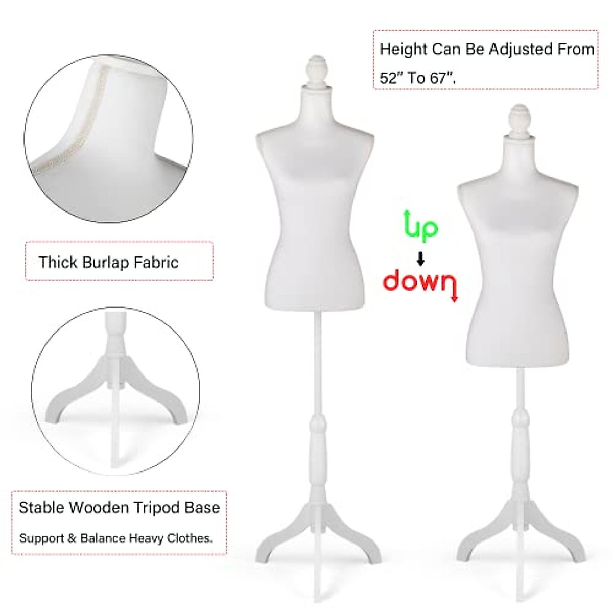 HOMBOUR Female Mannequin Body, Sewing Mannequin Torso Dress Form, Adjustable Mannequin with Stand for Display Dressmaker, White