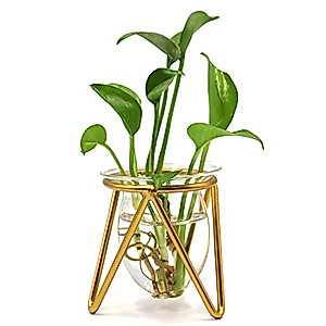 Plant Terrarium with Metal Stand, Desktop Air Planter Bulb Glass Vase for Indoor Live Hydroponics Plants Home Garden Office Decoration