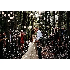 Heart Shaped Biodegradable Wedding Confetti - 10,000 pieces. Product of The USA.