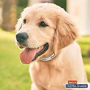 Hartz UltraGuard Pro Reflective Flea & Tick Collar for Dogs and Puppies, 7 Month Flea and Tick Prevention Per Collar, 1 Count