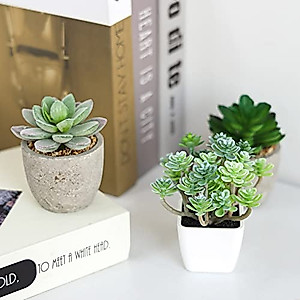 CEWOR 10pcs Artificial Succulent Plants Faux Succulents Unpotted Fake Succulent Plants Premium Crafting DIY Floral Decor for Home Garden Office Party