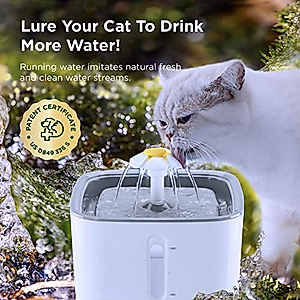 Ciays Automatic Pet Water Fountain, 84oz/2.5L Water Dispenser with 3 Replacement Filters for Cats, Dogs, Multiple Pets