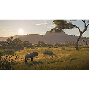 TheHunter Call of the Wild - 2019 Edition (Xbox One)