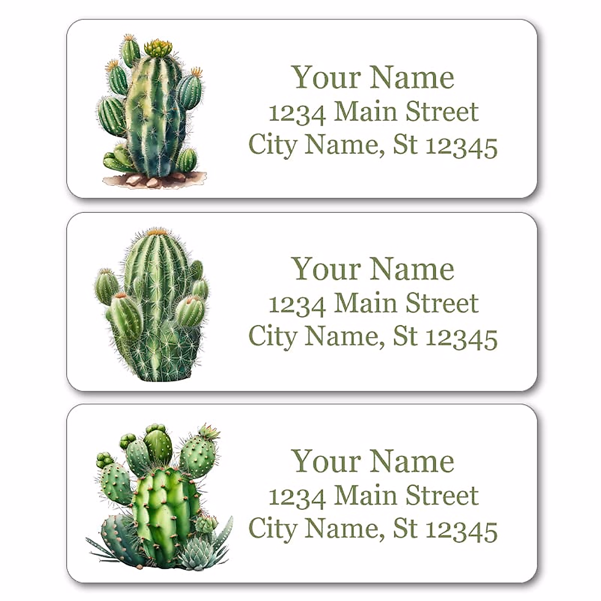 Personalized Return Address Labels - Cactus Decor Design - 60-1000 Custom Self-Adhesive Stickers