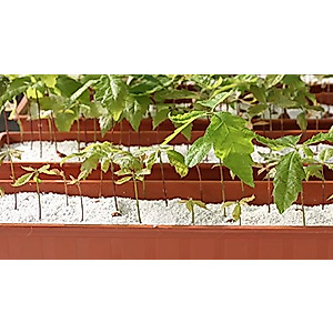 GROW!T JSPERL24 - Grade #2 Perlite, Super Course, (4 Cubic Feet) Hydroponic Perlite - Better Aeration and Drainage, Derived from a Natural Source, Odorless and Lightweight, Completely Sterile