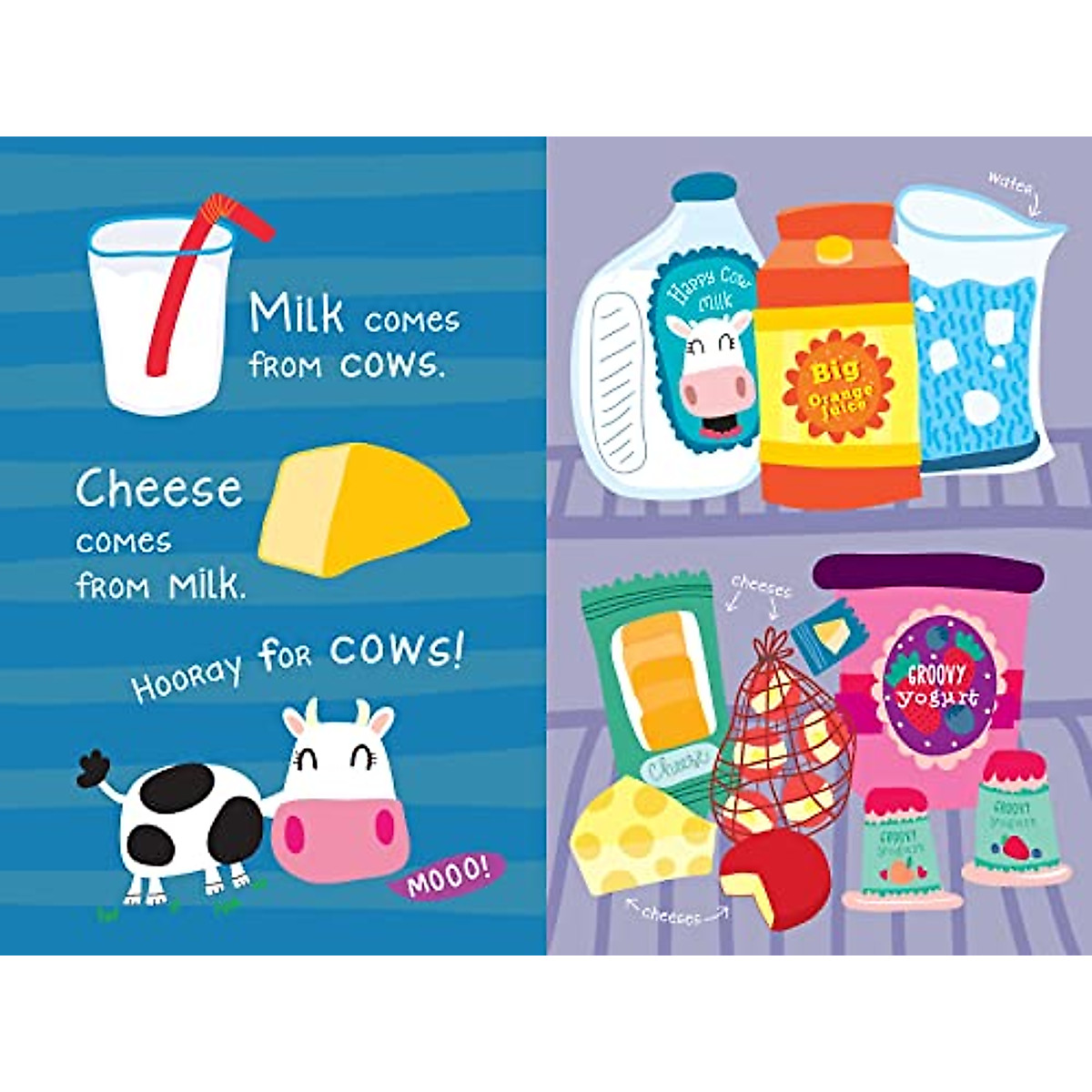 My Fridge: My First Book of Food