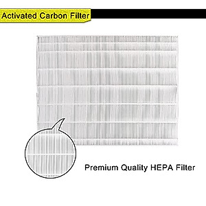 116130 Replacement Filter H for Winix 5500-2 AM80 Air Purifier True HEPA Activated Carbon Pre-Filters 2 Pack Washable Advanced Control Filter and 2 Pack PlasmaWave Odor Reducing Carbon Filters