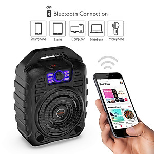 EARISE T26 PRO Karaoke Machine for Adults, Bluetooth PA Speaker System with 2 Wireless Microphones with LED Lights, FM Radio, Audio Recording, Remote Control, Supports TF Card/USB/AUX