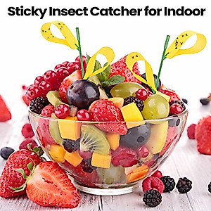 150 Pack Sticky Houseplant Traps Stakes Yellow Insect Trap Fungus Gnat Sticky Trap for Indoor Outdoor Garden Houseplant Fungus Gnat Fruit Flies Mosquito